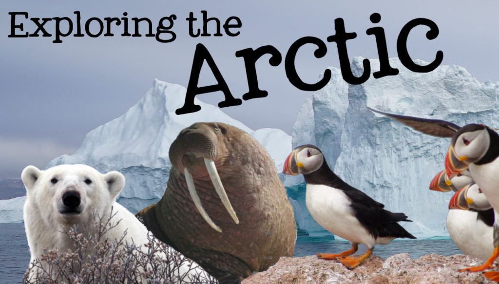 Exploring the Arctic – FreeSchool Publishing